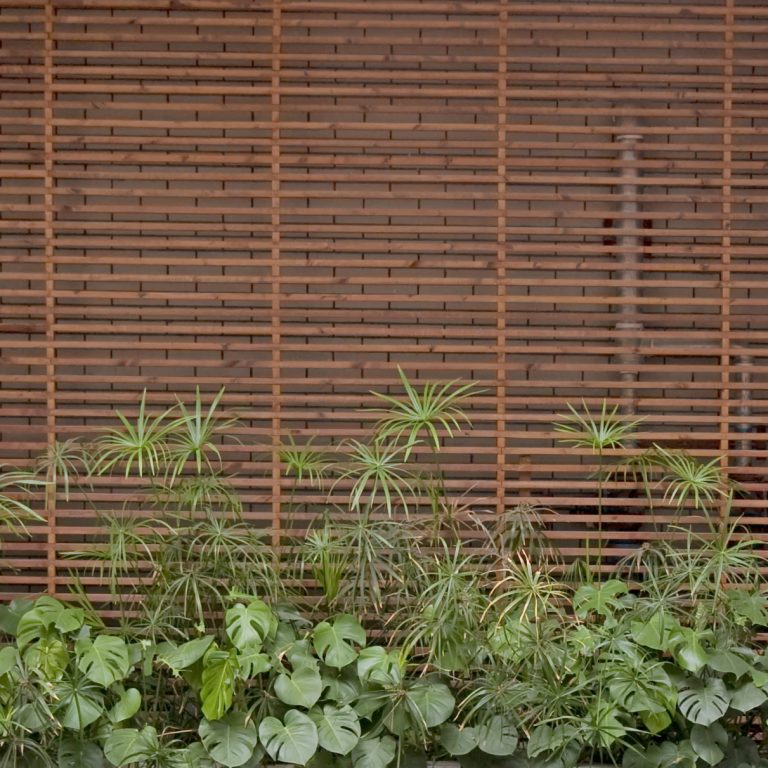 Oriental Trellis Auckland - Shop Standard Sizes | Woodmart